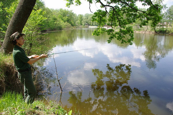 Ловля голавля для начинающих. Способы ловли голавля
